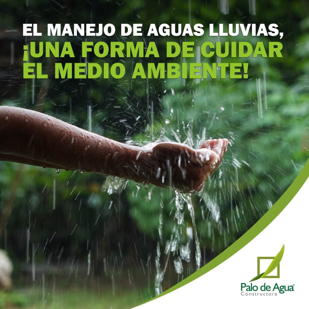 EL MANEJO DE LAS AGUAS LLUVIAS, UNA FORMA DE CUIDAR EL MEDIO AMBIENTE ...